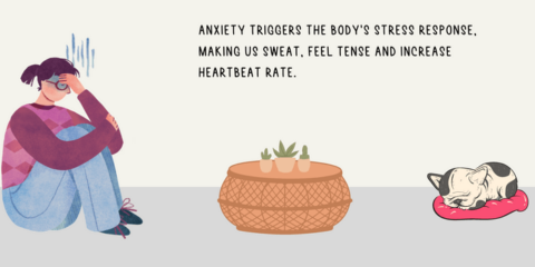 How to quickly calm down your anxiety - HabitStrong