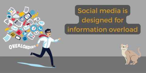 How the internet is degrading our focus and affecting our life ...