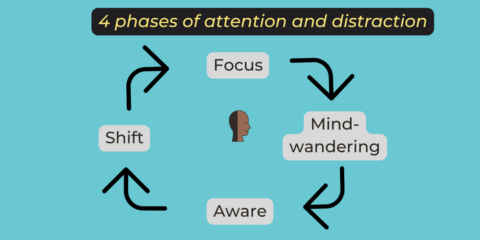 7 key concepts about attention which you probably didn’t know - HabitStrong